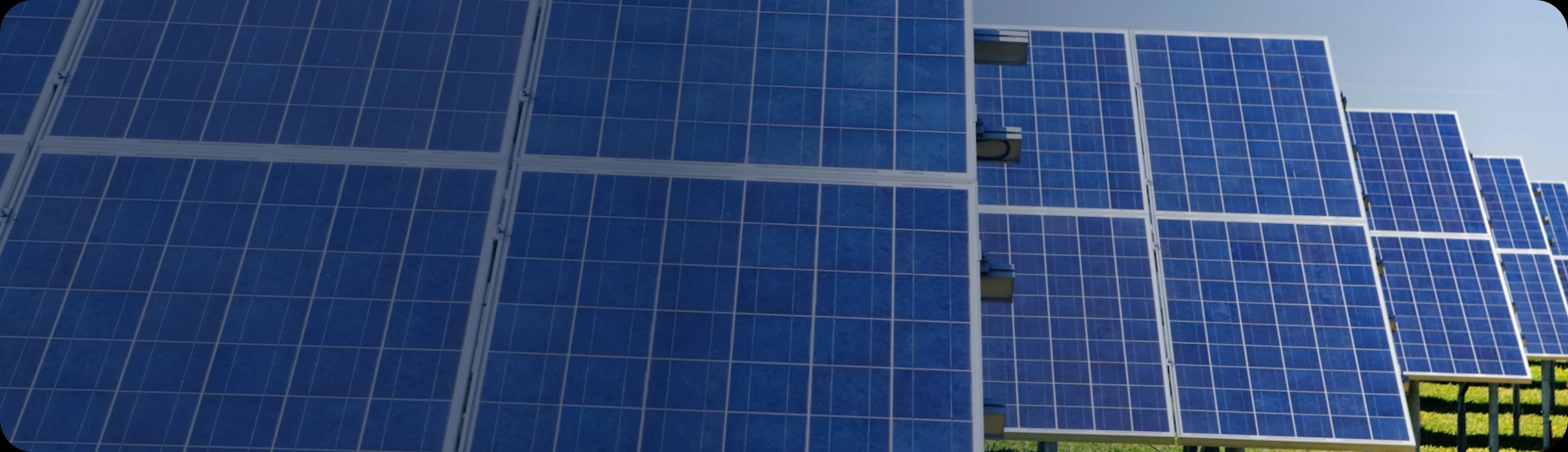 Neufin | The Green Financing Platform