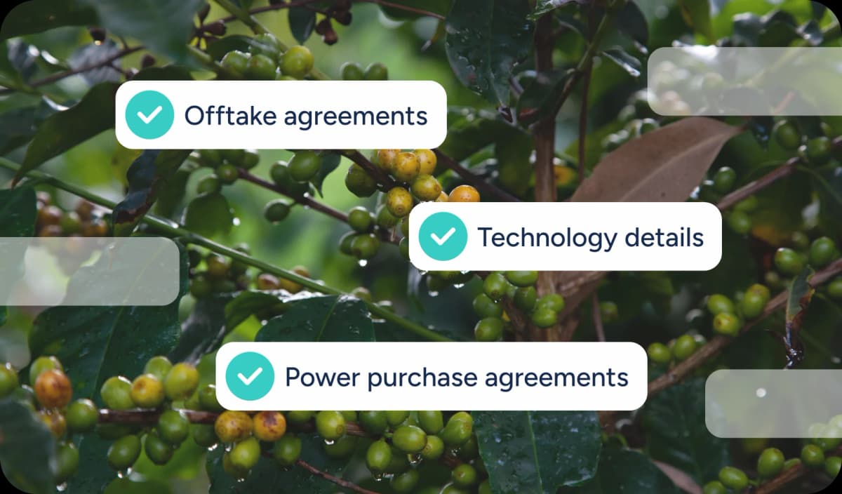 Neufin | The Green Financing Platform