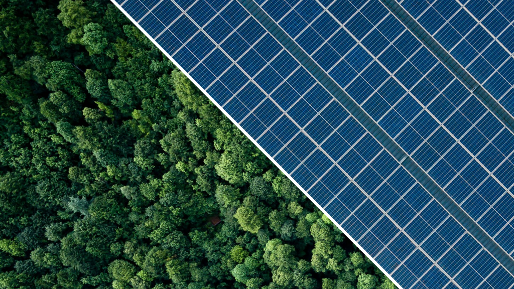 Neufin | Avoidance vs Removal: a buyers' guide to purchasing carbon credits